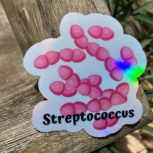 Types of Bacteria Holographic Stickers, Science Sticker, Infectious ...