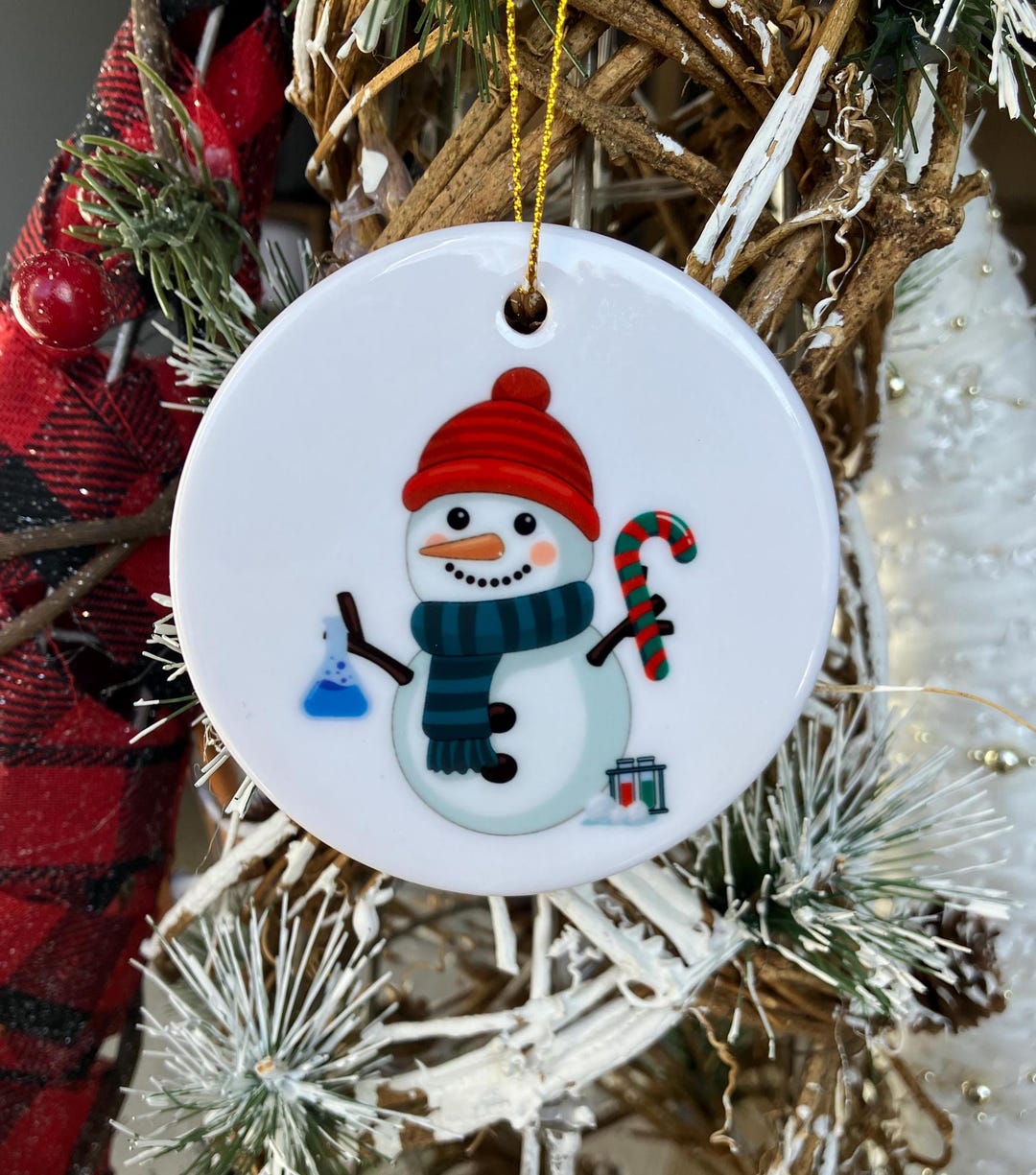 Microbiology Christmas Ornament, Science Teacher, Biology Gift ...