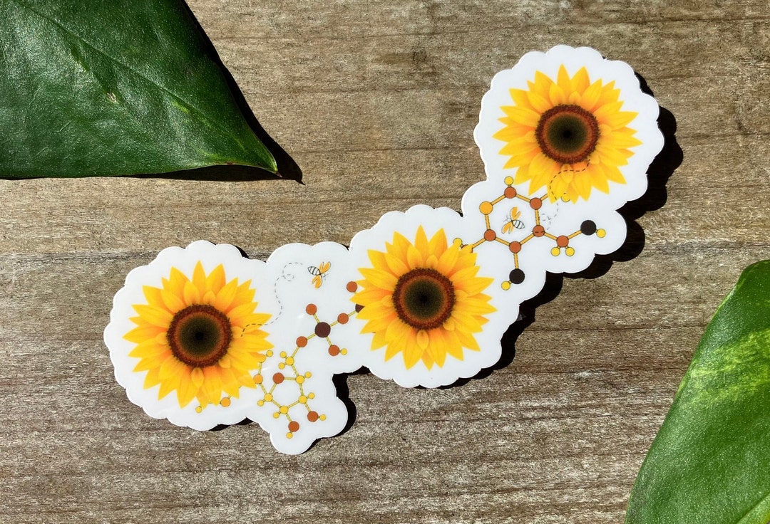 Sunflower Molecules and Science Sticker, Lab Science, Women in Science ...