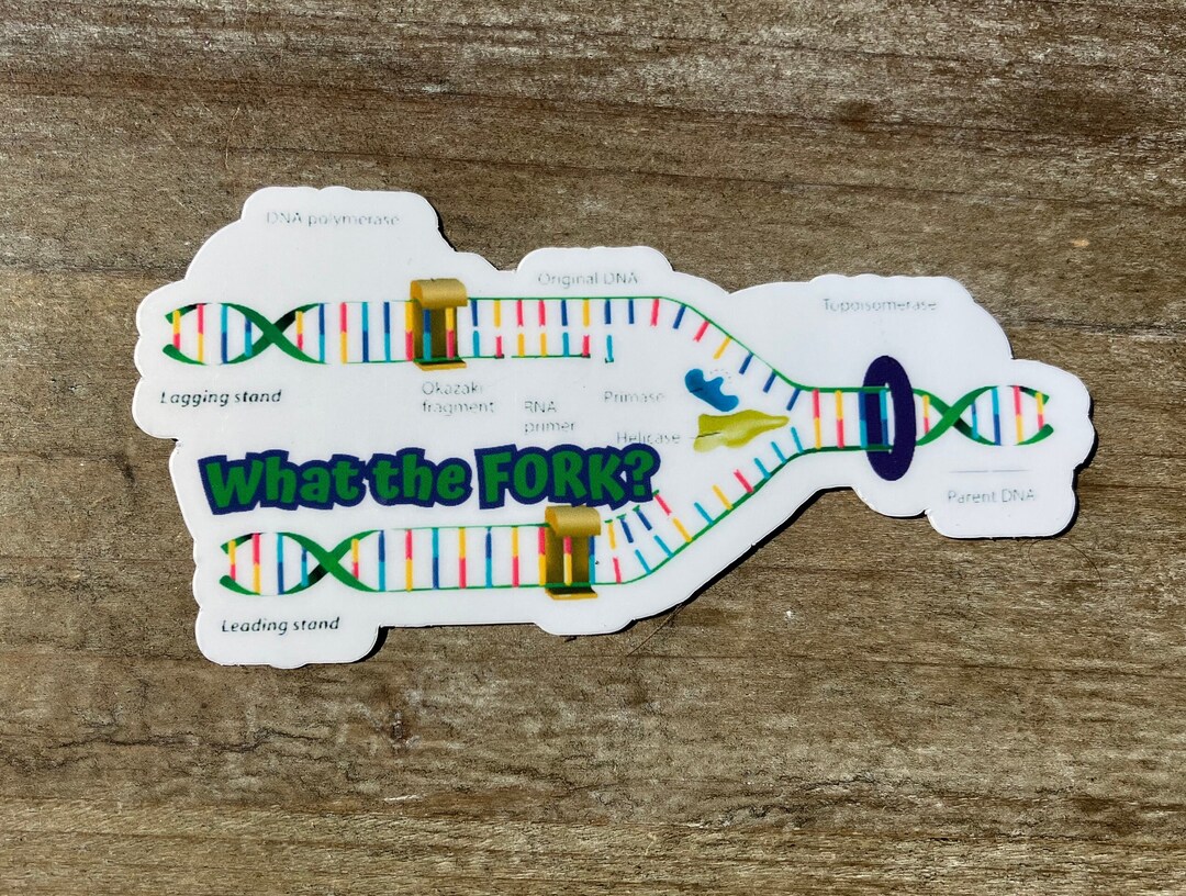 What the Fork DNA Replication Sticker, Science Sticker, Biology ...