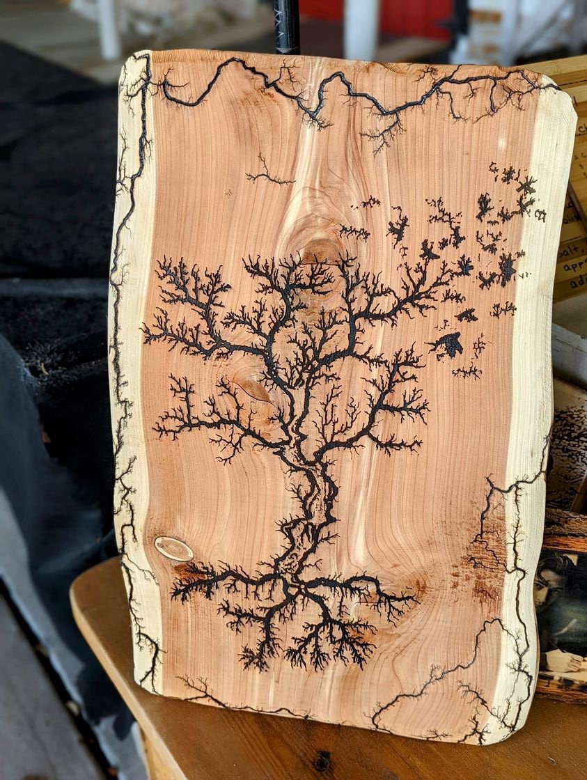 Electric Tree Burn With Crows Breakaway 10,000 Volt Lichtenburg Figures ...