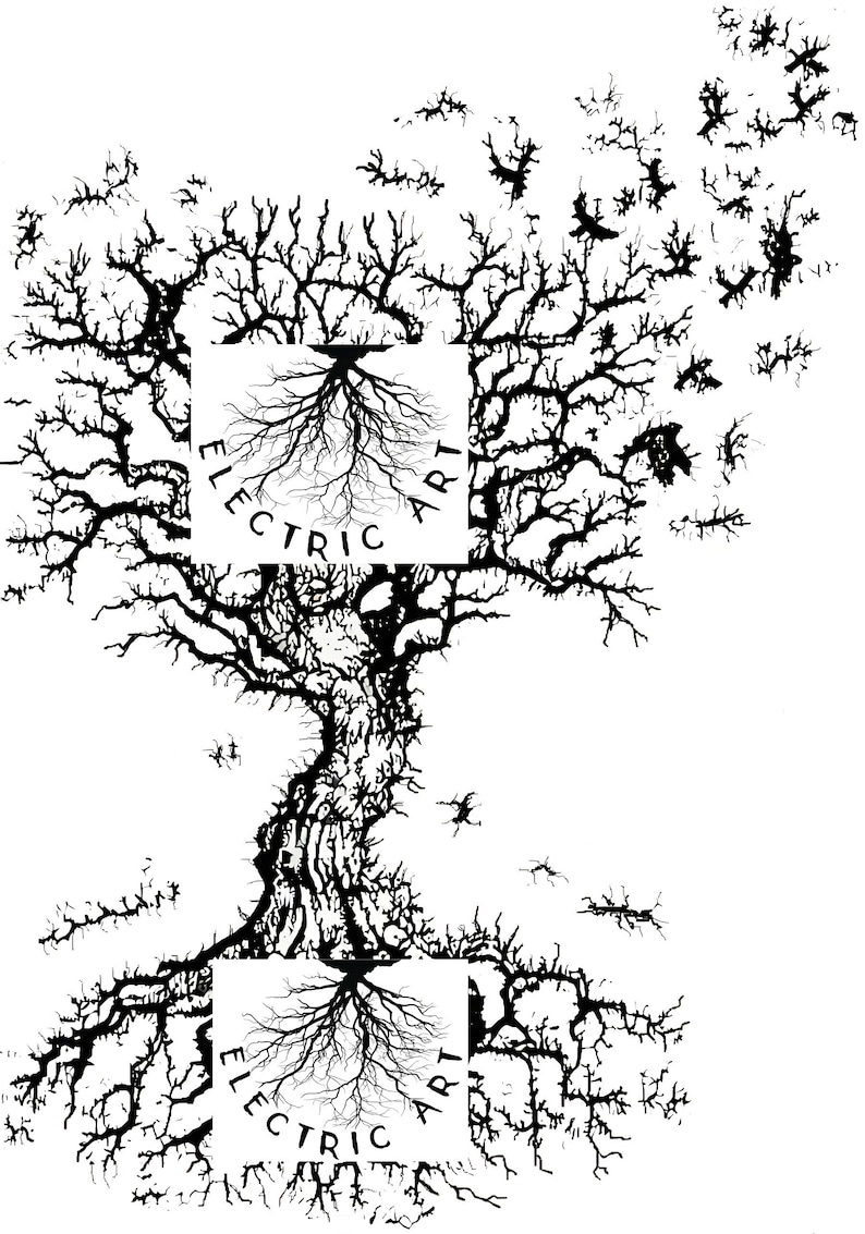 Electric Tree Burn With Crows Breakaway 10,000 Volt Lichtenburg Figures ...