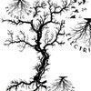 Lichtenberg Laser File(dxf, SVG) - Etsy