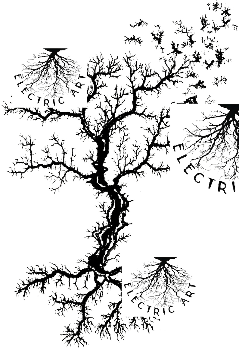 Electric Tree Burn With Crows Breakaway 10,000 Volt Lichtenburg Figures ...