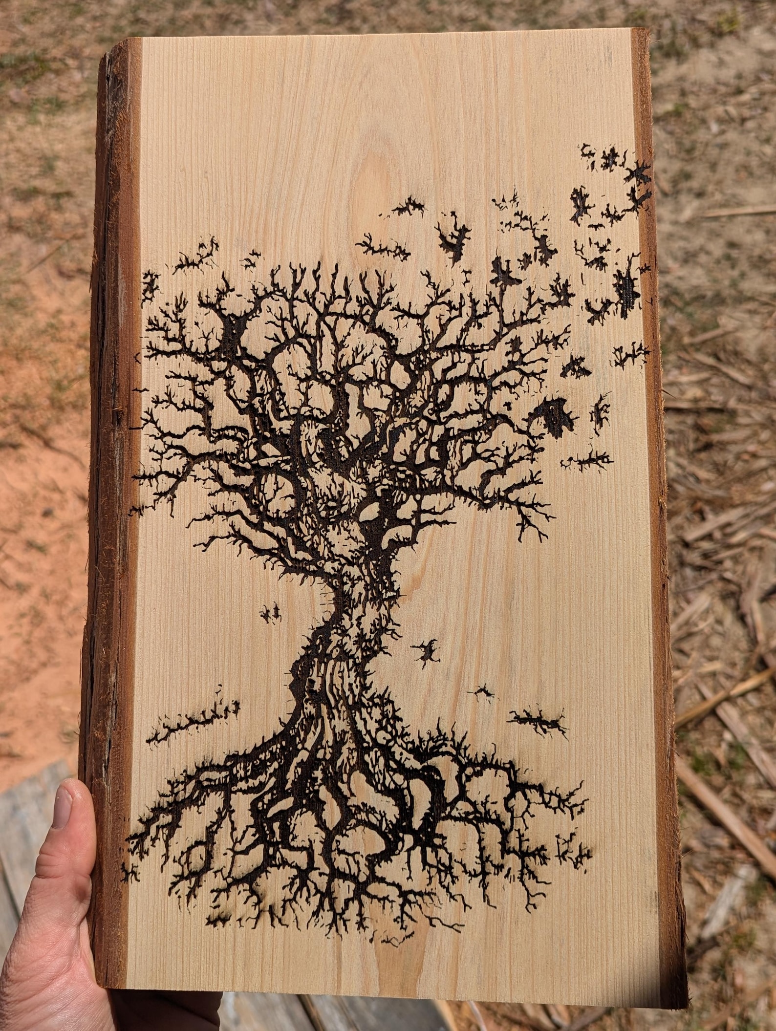 Electric Tree Burn With Crows Breakaway 10,000 Volt Lichtenburg Figures ...