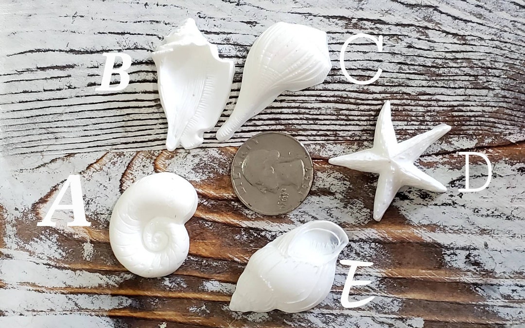 Sea Life Silicone Mold: Shells, Starfish, Food Grade - Etsy
