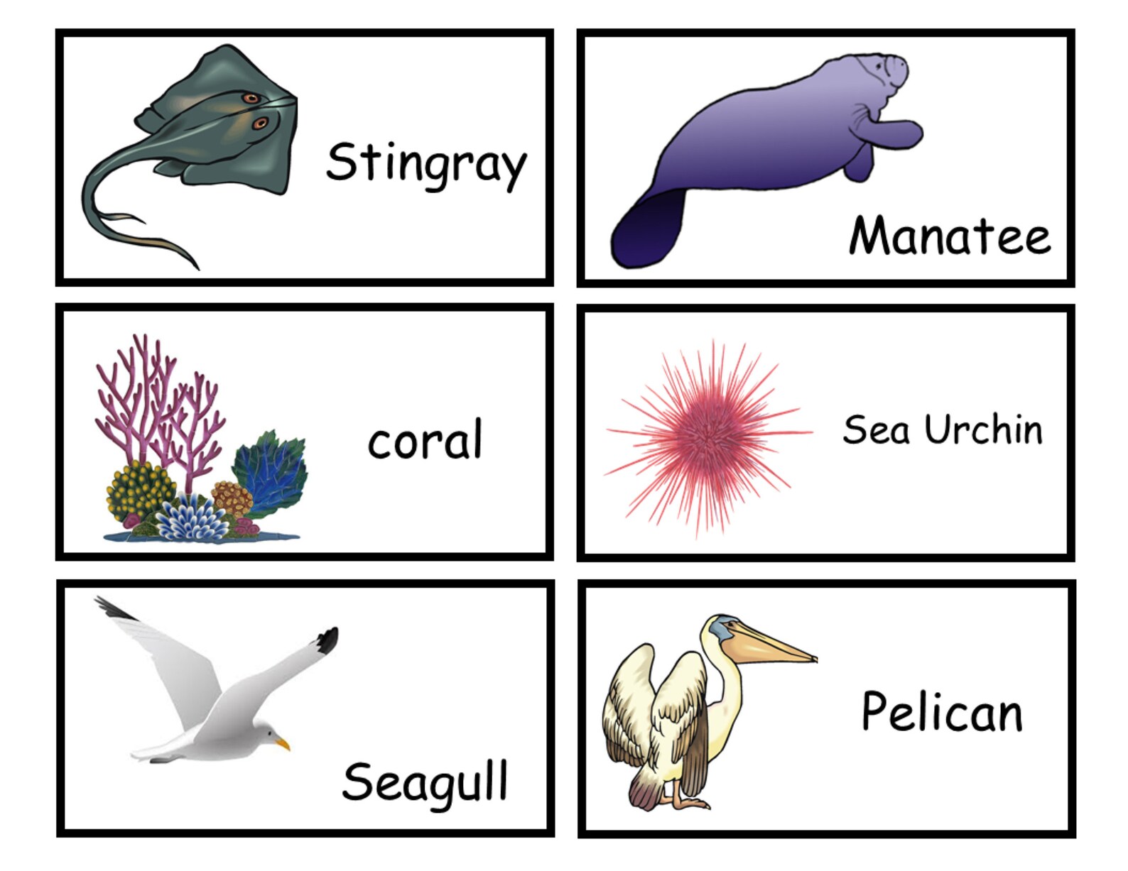 Sea Animals Creatures 24 Flashcards Preschool-kindergarten Teacher Made ...