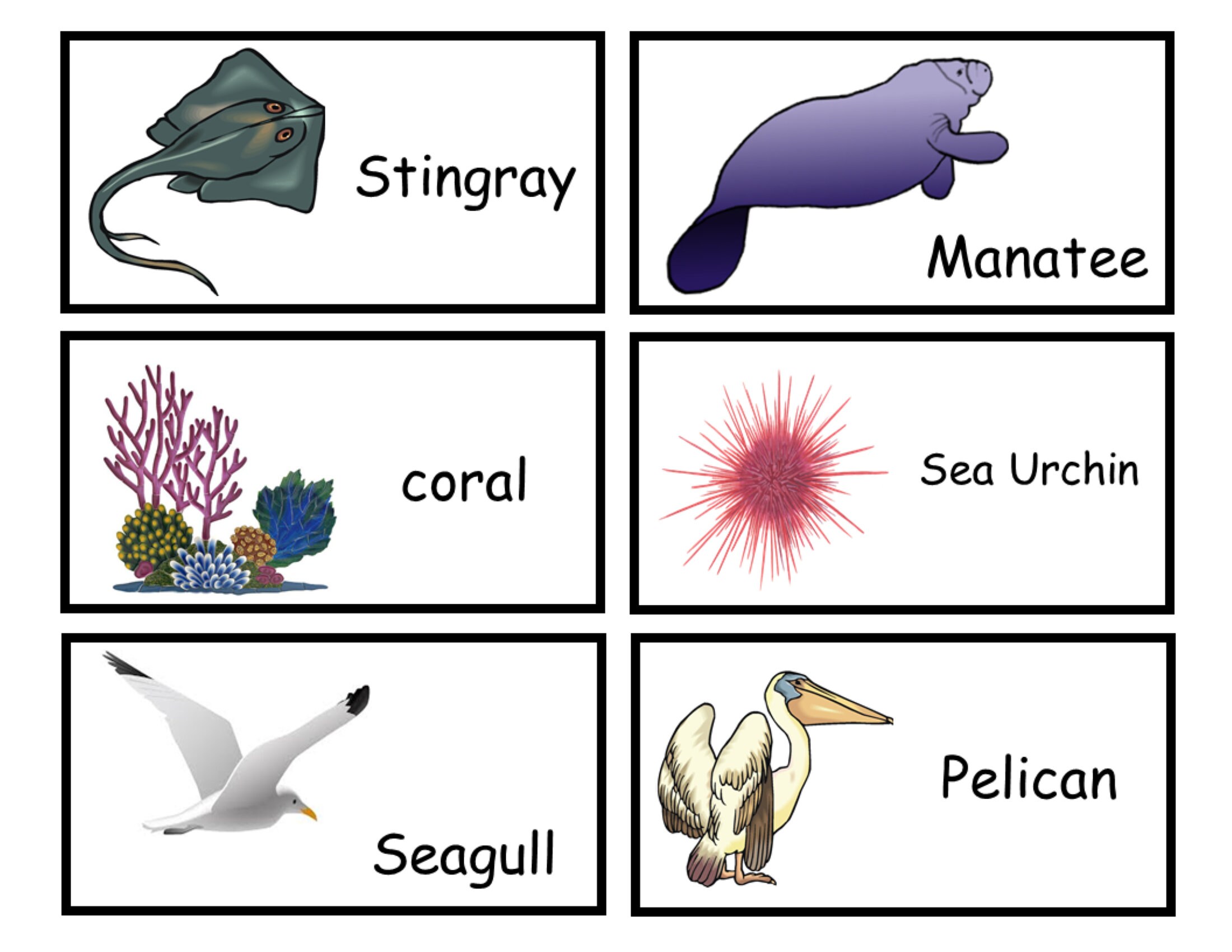 Sea Animals Creatures 24 Flashcards Preschool-kindergarten Teacher Made ...