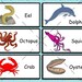 Sea Animals Creatures 24 Flashcards Preschool-kindergarten Teacher Made ...