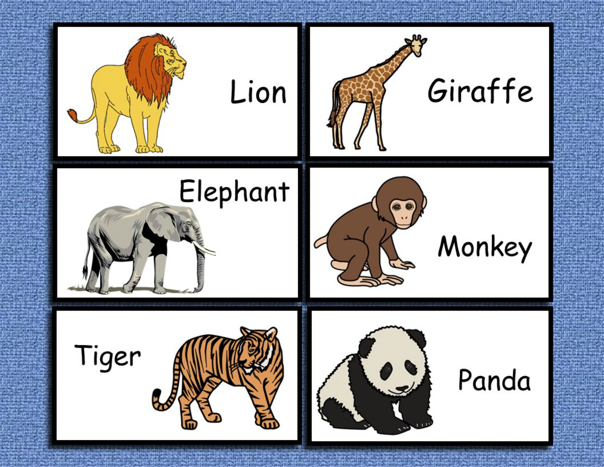Zoo Animals Flashcards Pre-school Picture Flash Cards - Etsy