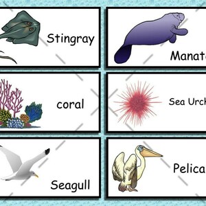 Sea Animals Creatures 24 Flashcards Preschool-kindergarten Teacher Made ...