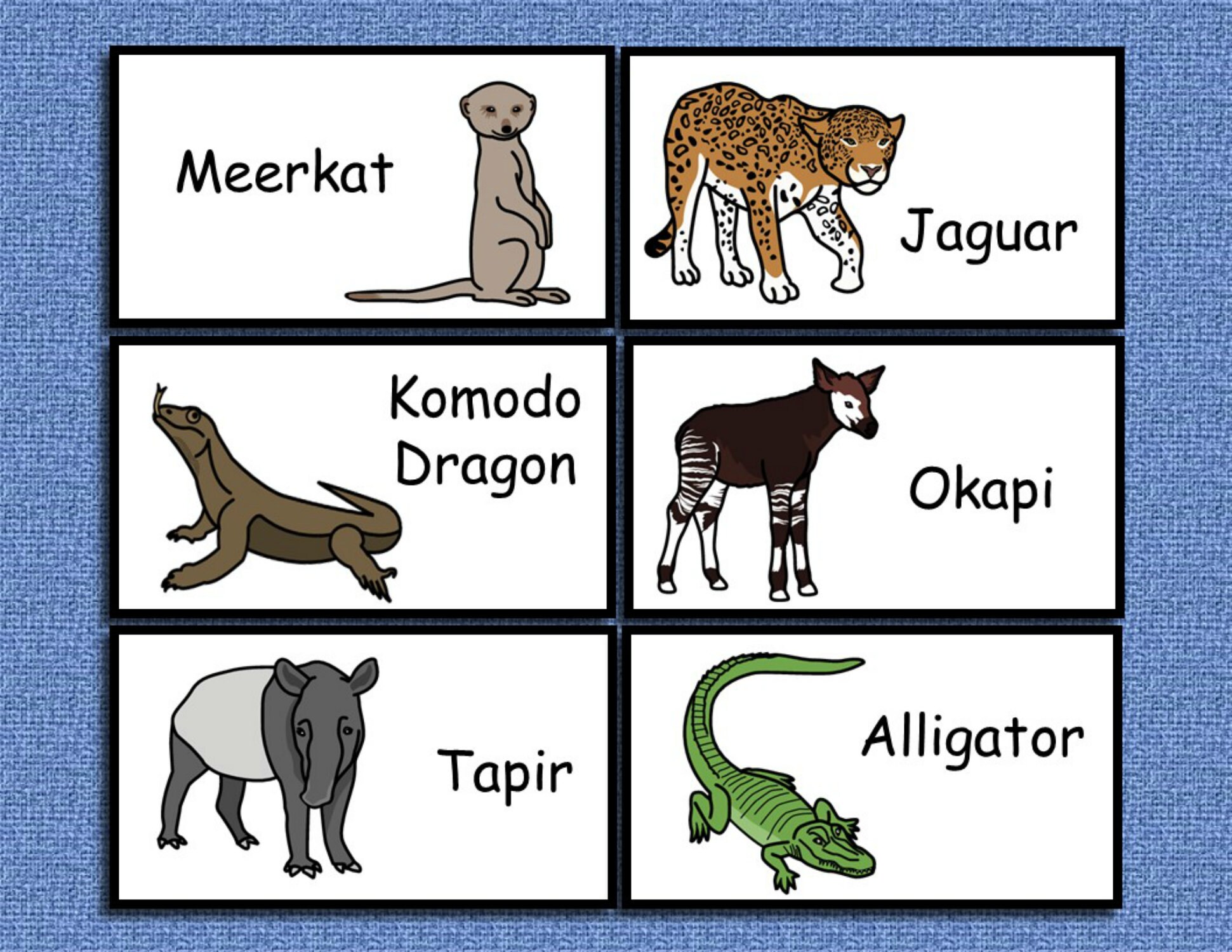 Zoo Animals Flashcards Pre-school Picture Flash Cards - Etsy