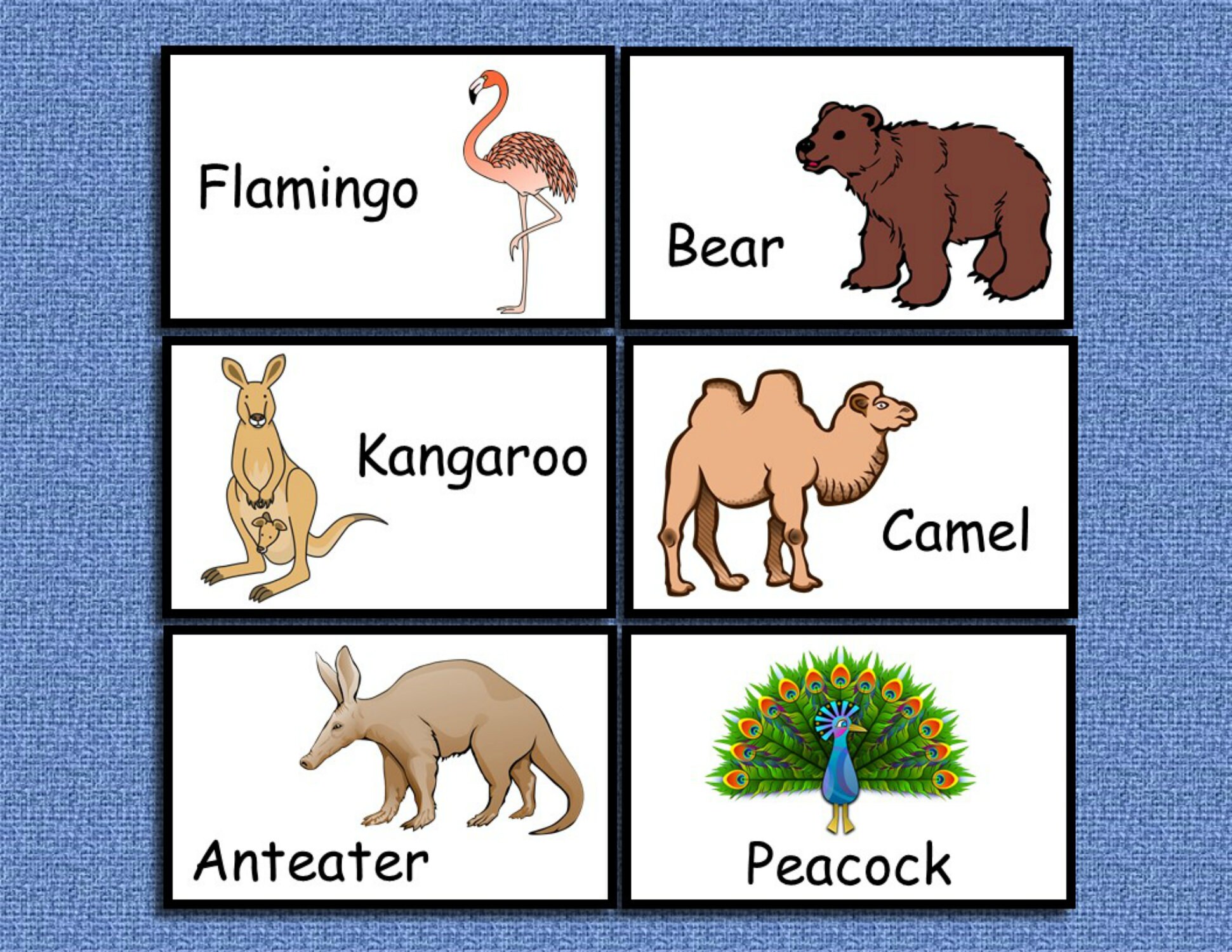 Zoo Animals Flashcards Pre-school Picture Flash Cards - Etsy