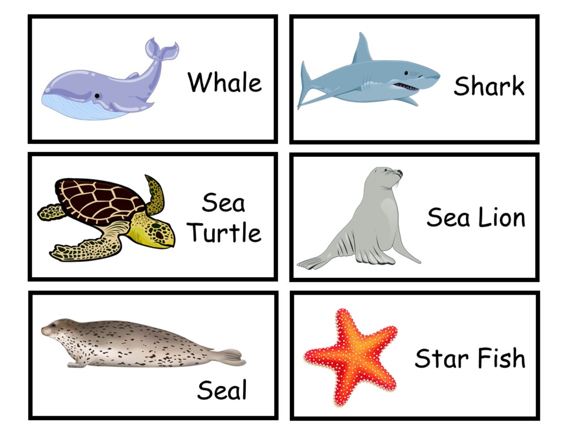 Sea Animals Creatures 24 Flashcards Preschool-kindergarten Teacher Made ...