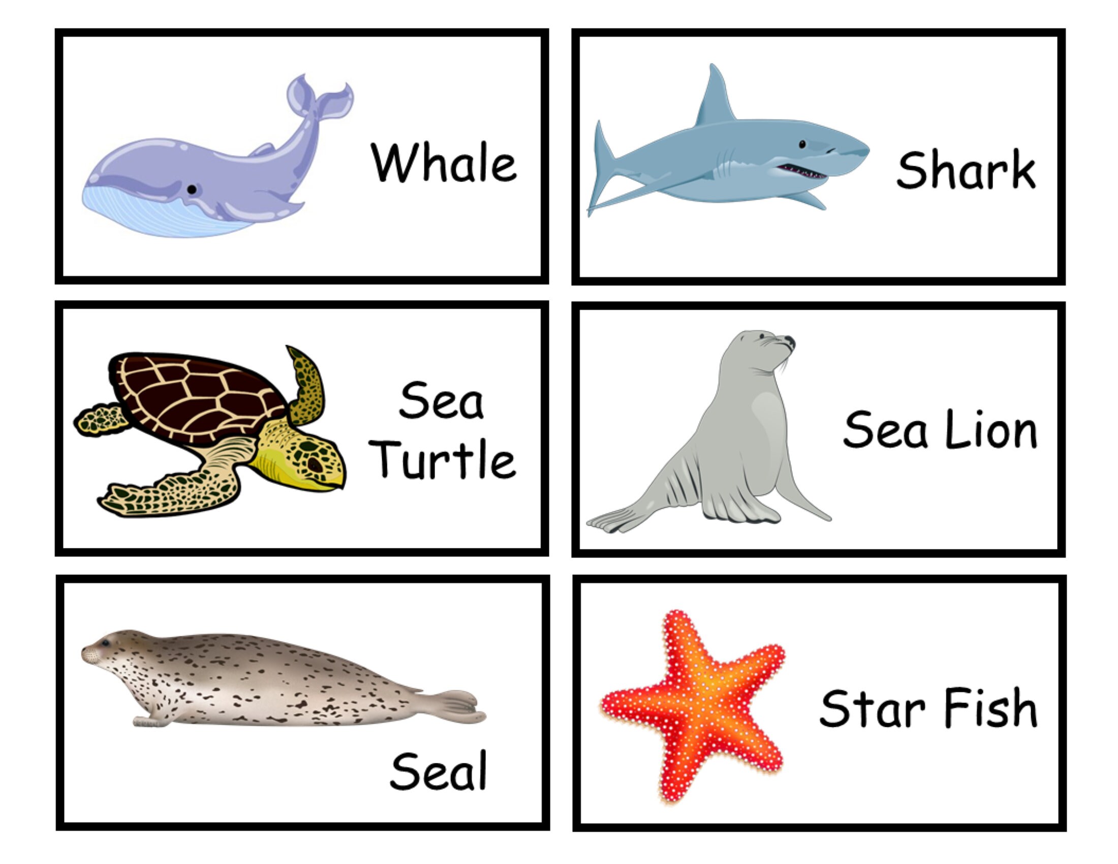 Sea Animals Creatures 24 Flashcards Preschool-kindergarten Teacher Made ...