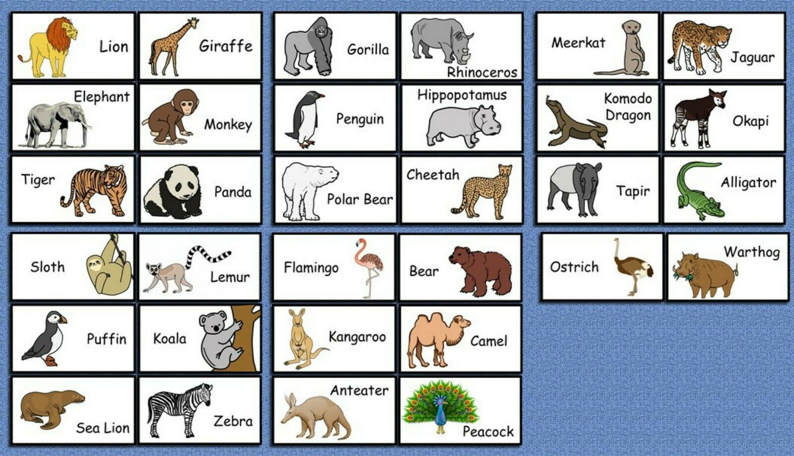 Zoo Animals Flashcards Pre-school Picture Flash Cards - Etsy
