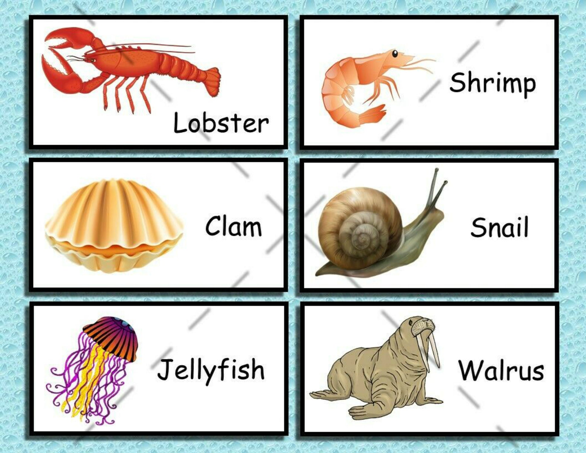 Sea Animals Creatures 24 Flashcards Preschool-kindergarten Teacher Made ...