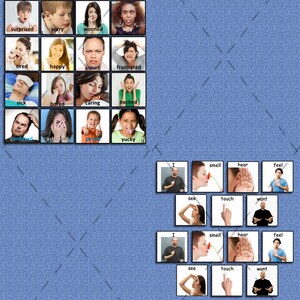 600 Visual Communication Cards for Autism Pec ABA Apraxia Real Photos ...