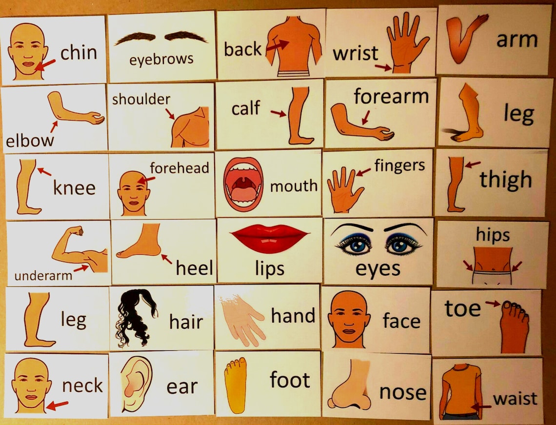 30 Parts of the Body Flash Cards DIGITAL DOWNLOAD Preschool ...