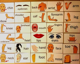 Body Parts Card - Etsy