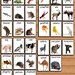 Ultimate Animal Flashcard Collection 114 Zoo Animal Flashcards ...
