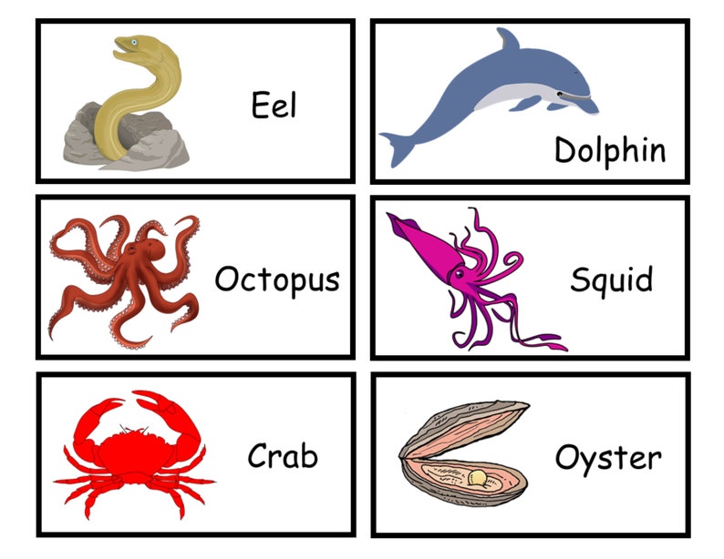 Sea Animals Creatures 24 Flashcards Preschool-kindergarten Teacher Made ...