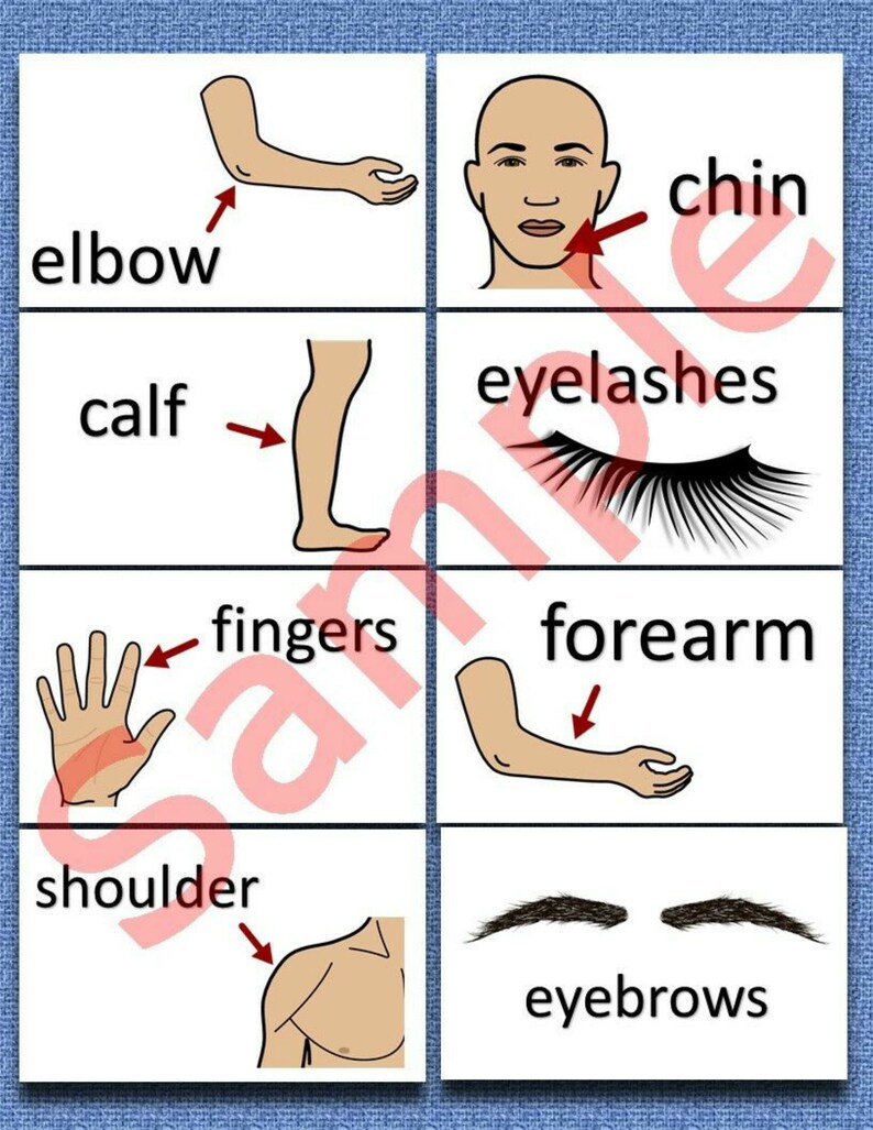 30 Parts of the Body Flash Cards DIGITAL DOWNLOAD Preschool ...