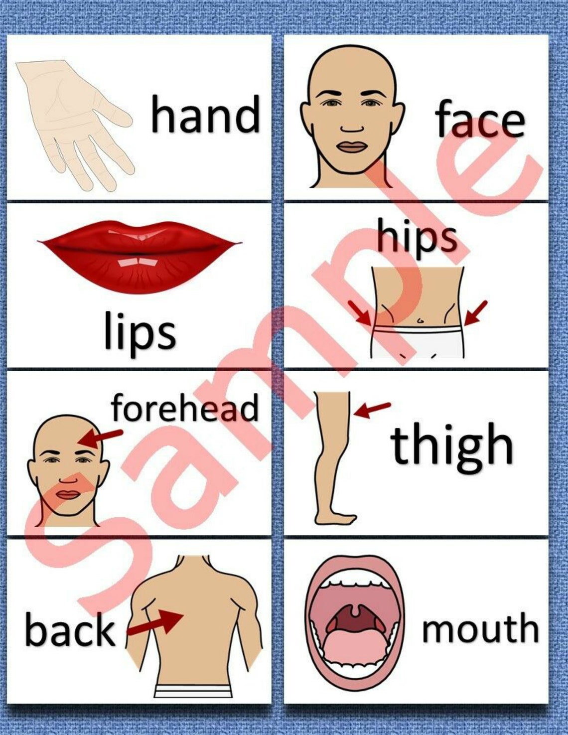 30 Parts of the Body Flash Cards DIGITAL DOWNLOAD Preschool ...