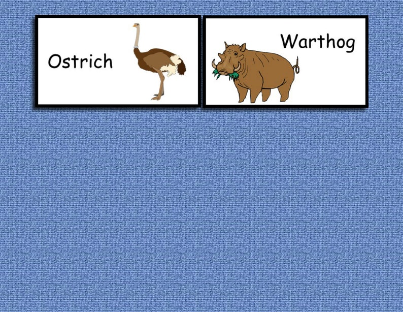 Zoo Animals Flashcards Pre-school Picture Flash Cards - Etsy