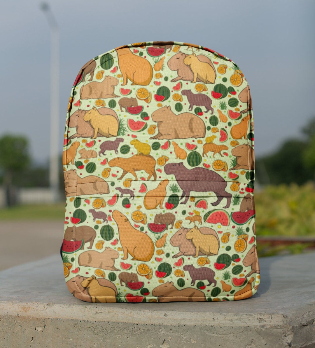 Capybara Backpack , Capybara School Bag - Etsy