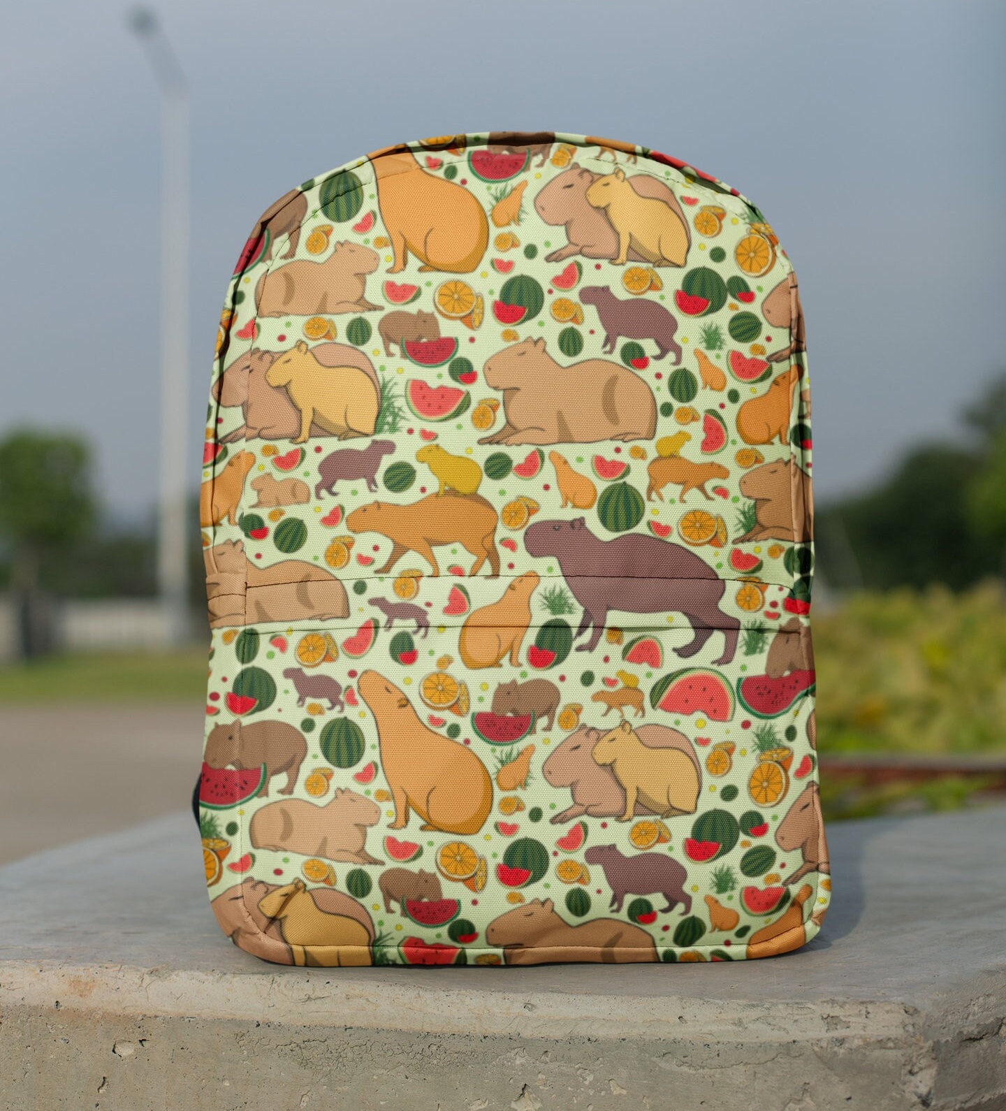 Capybara Backpack Capybara School Bag - Etsy