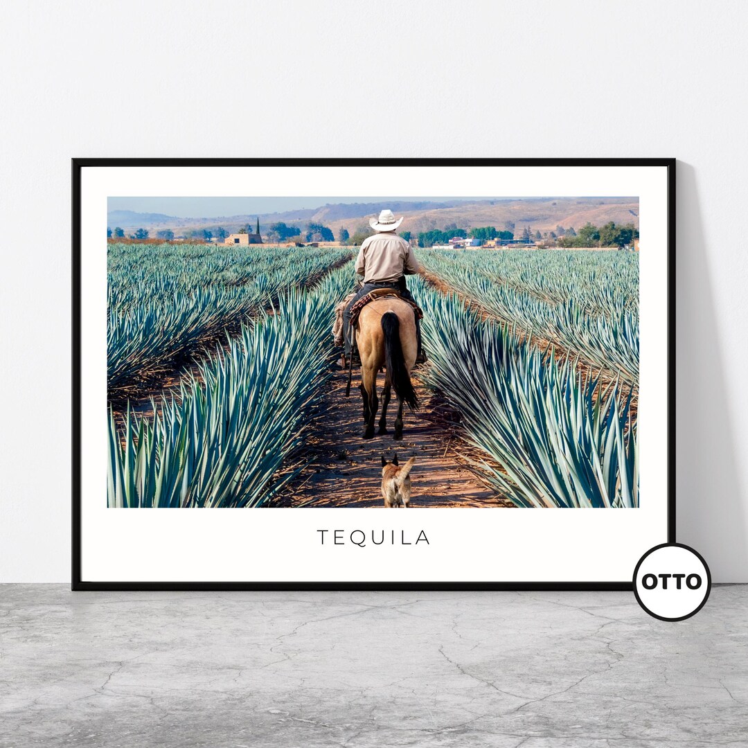 Tequila Wall Art | Tequila, Jalisco Home Decor | Agave Field | Mexican ...