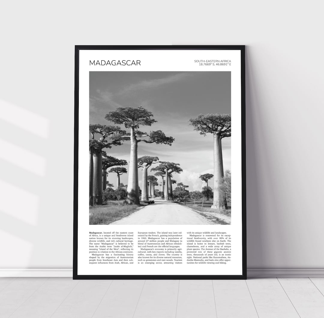 Madagascar Wall Art | the Avenue of the Baobabs, Madagascar Artful ...