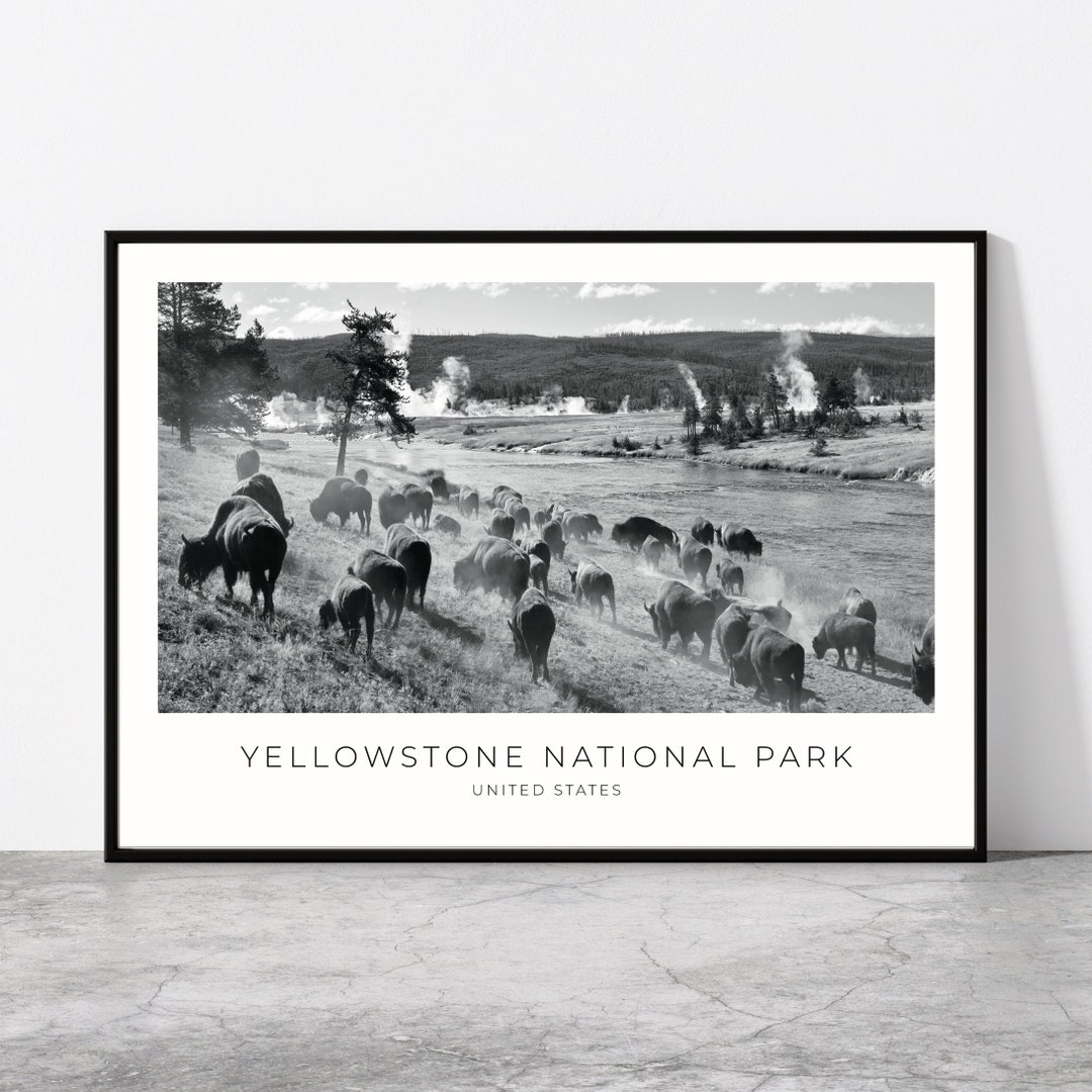 Yellowstone National Park Wall Art | Yellowstone National Park Artful ...