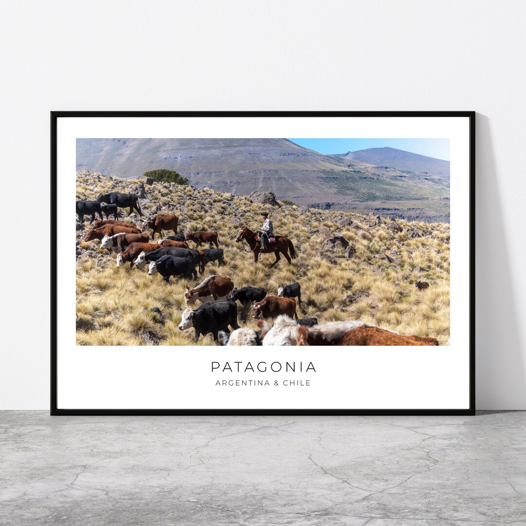 Patagonia Wall Art | Patagonia Artful Travel Poster Print Photo ...