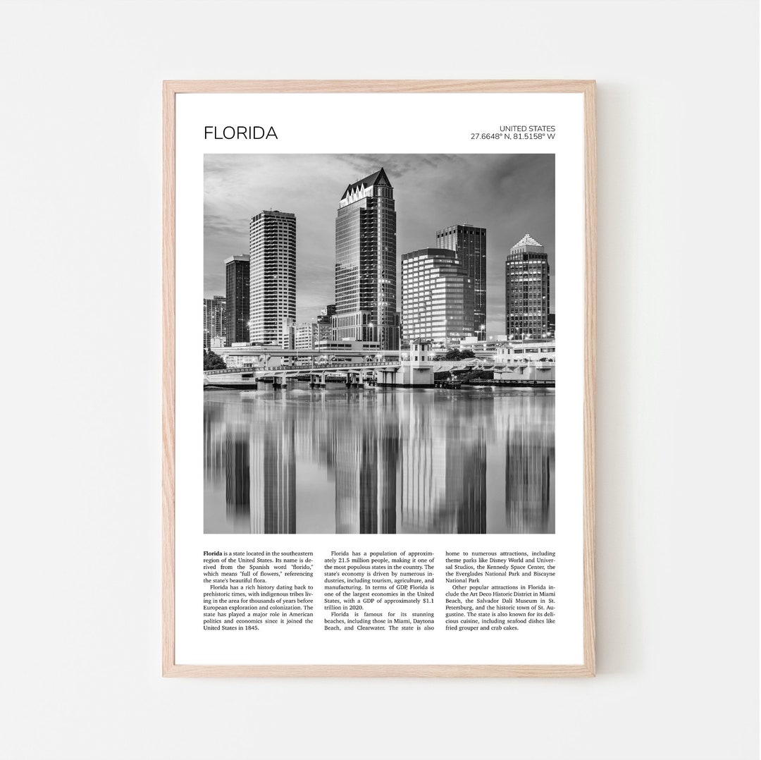 Florida Wandkunst Tampa, Florida Kunstvolles Reise-Plakat Foto ...
