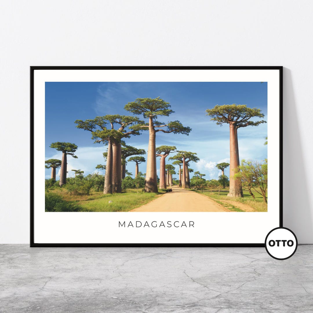 Madagascar Wall Art | the Avenue of the Baobabs, Madagascar Artful ...