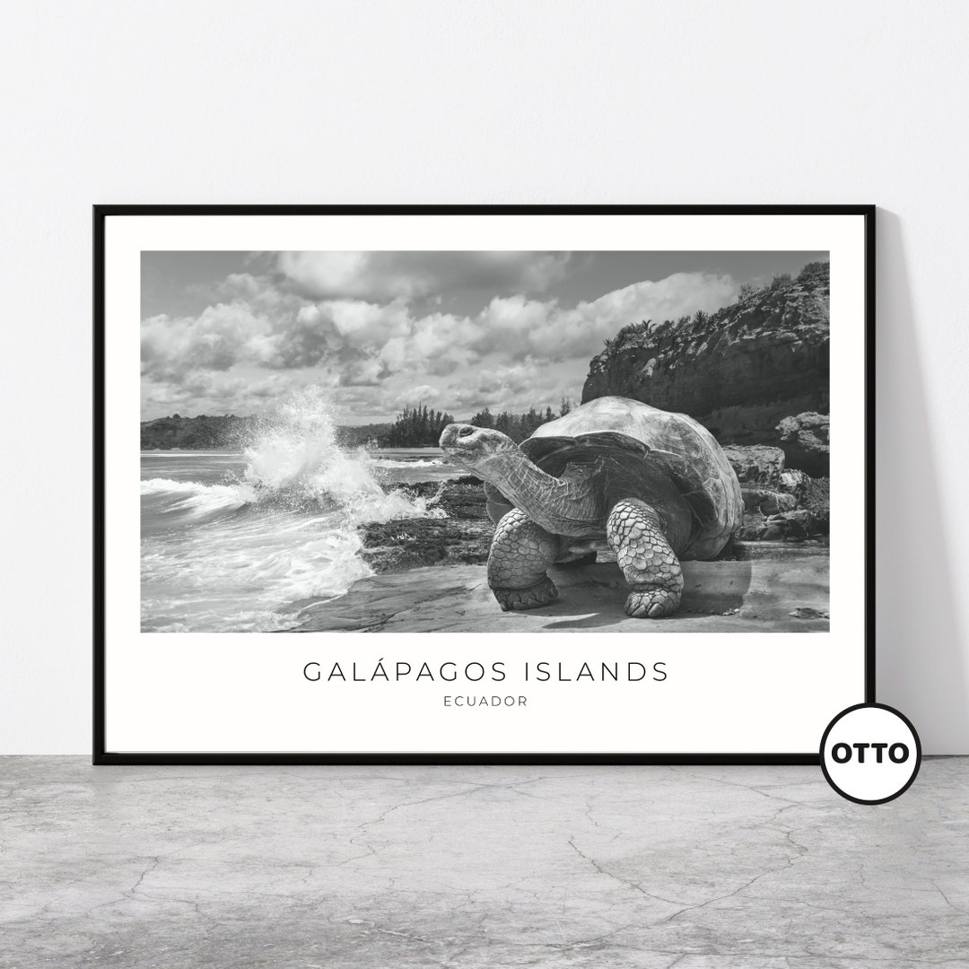 Galápagos Islands Wall Art | Galápagos Islands Home Decor | Giant ...