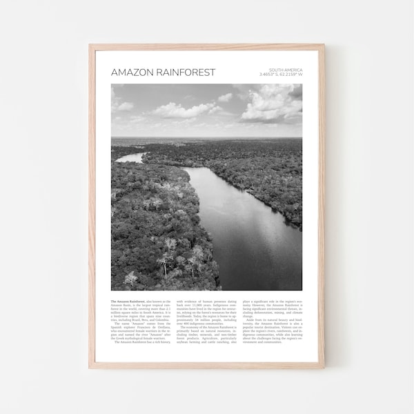 Rainforest Wall Art - Etsy UK