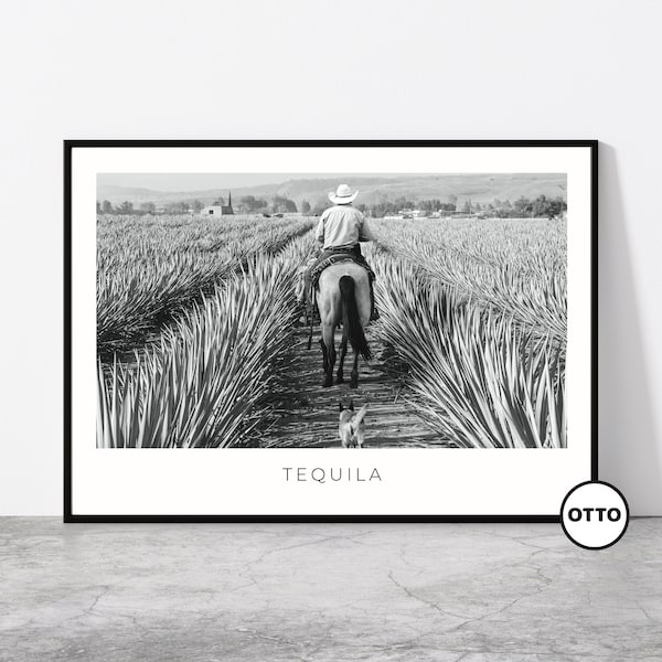 Tequila Wall Art - Etsy