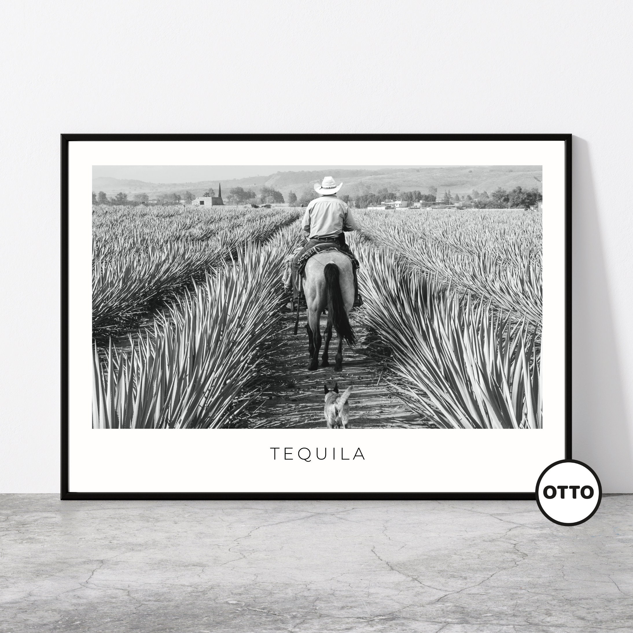 Tequila Wall Art | Tequila, Jalisco Home Decor | Agave Field | Mexican ...