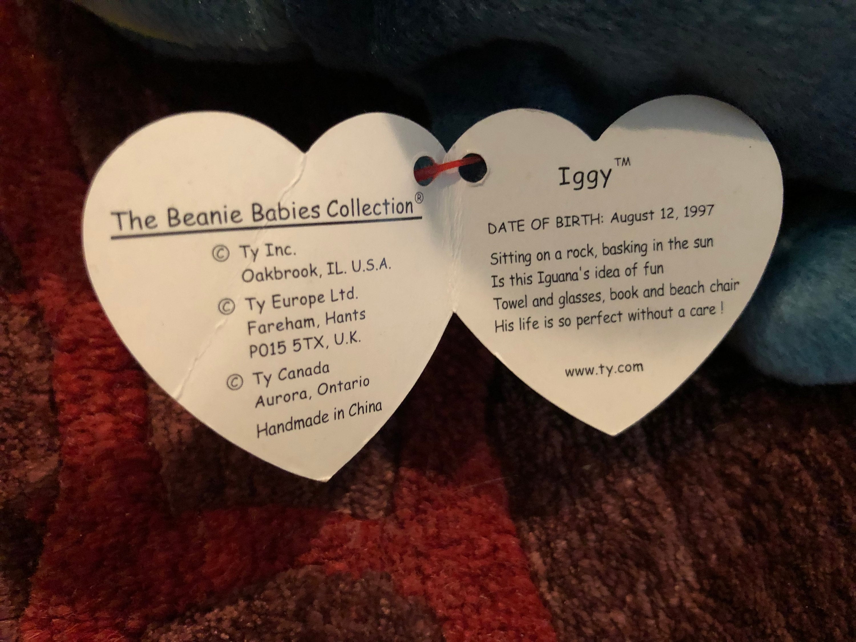 1997 Iggy the Iguana TY Beanie Baby - Etsy