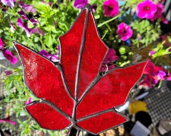 Handcrafted Stained Glass Maple or Oak Leaf in Copper Red and Clear ...