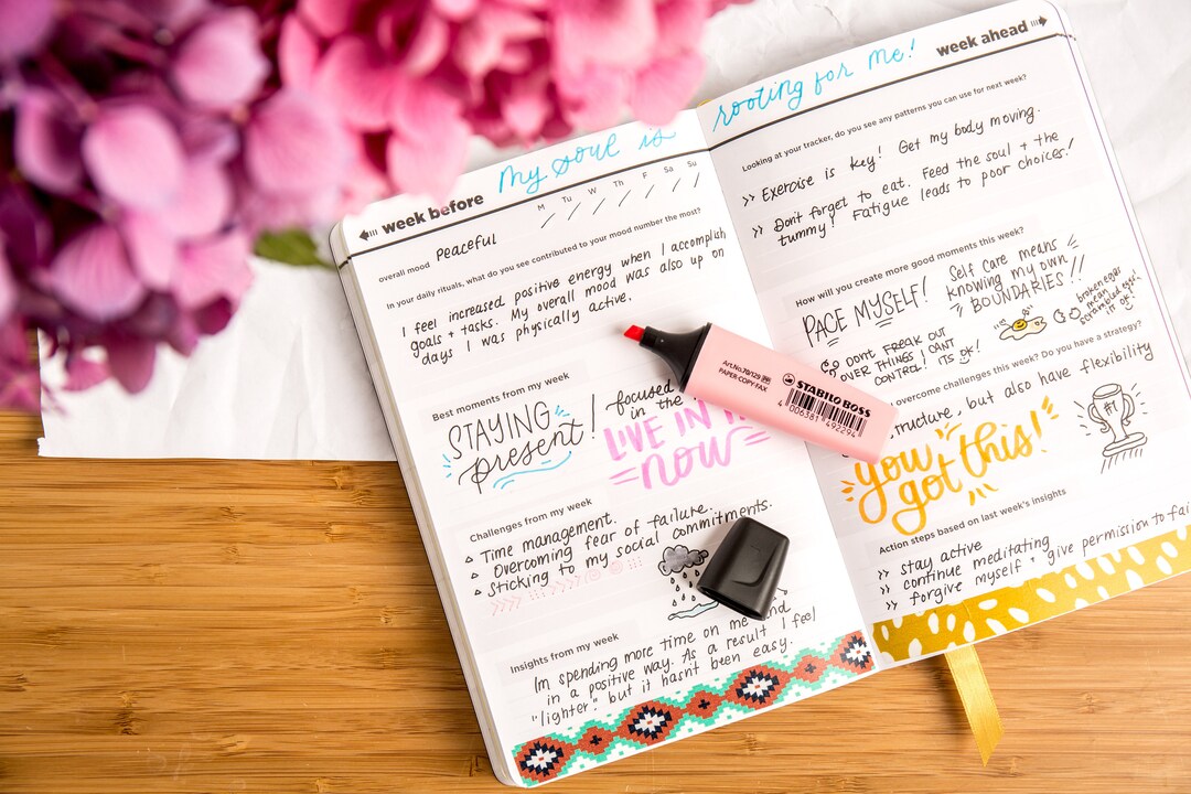 Day by Daybook Recovery ~ the Guided Journal + Planner Created ...