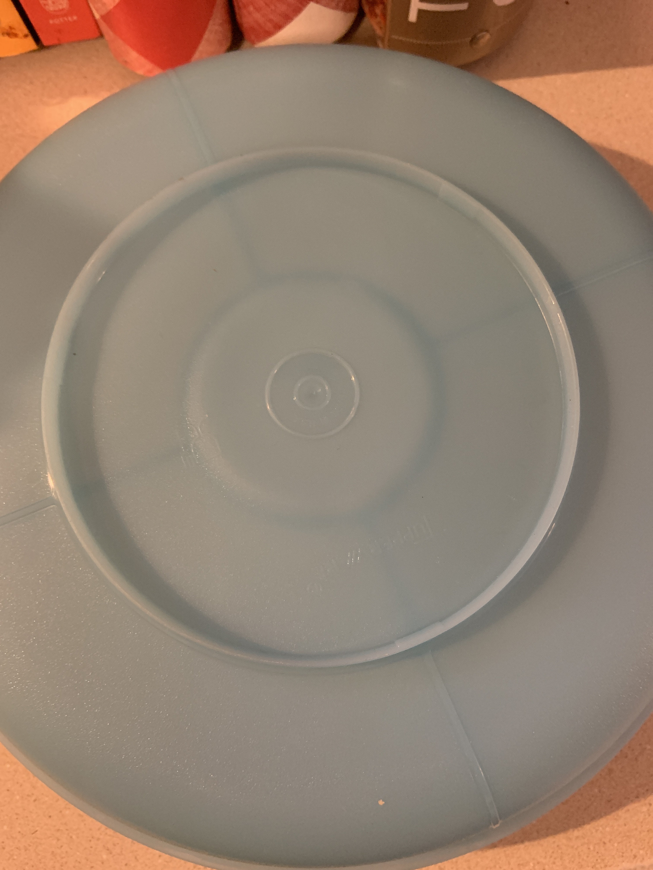 Vintage Tupperware Divided Tray with Lid | Etsy