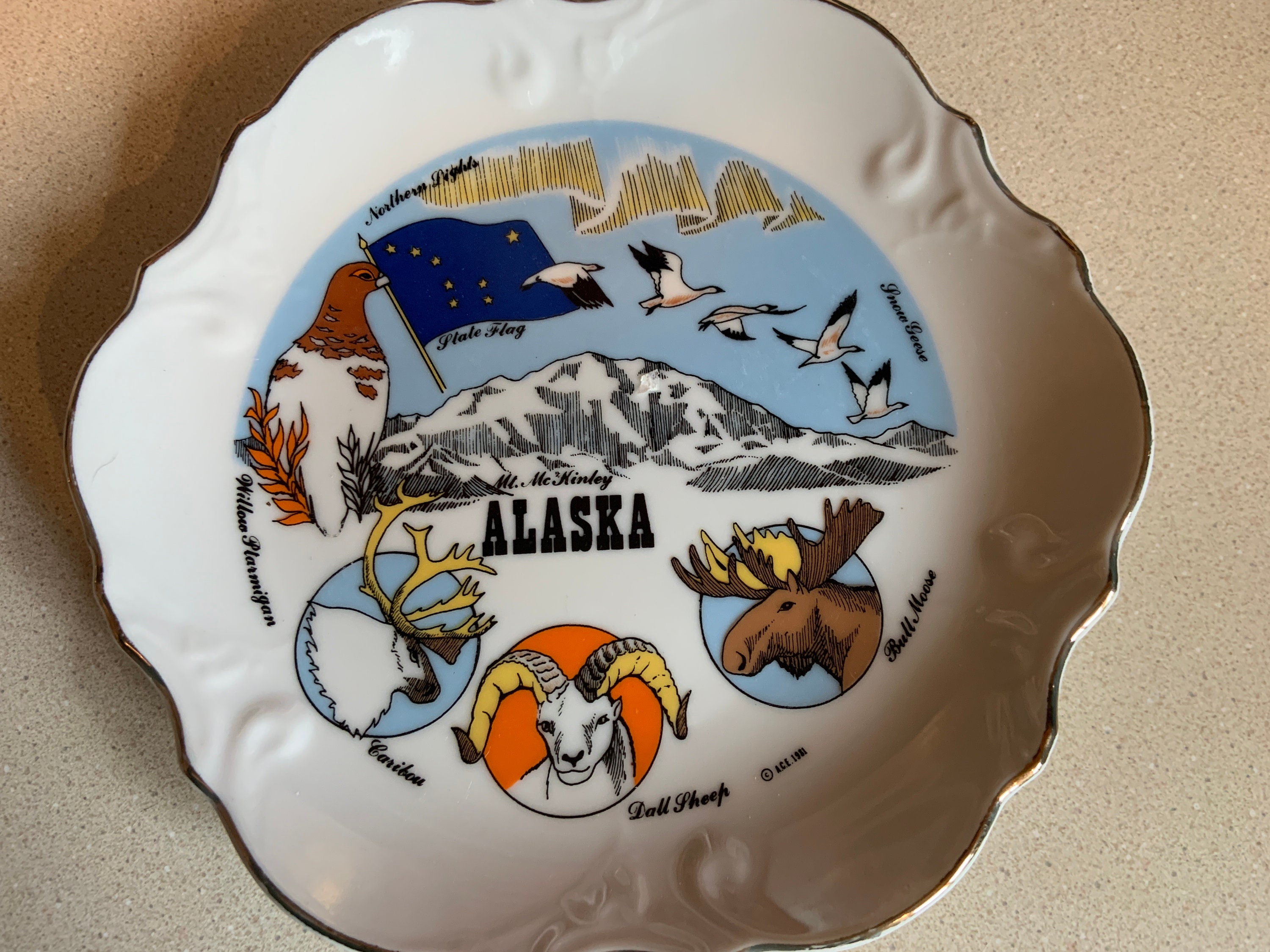 Vintage Souvenir State Plates of the West | Etsy