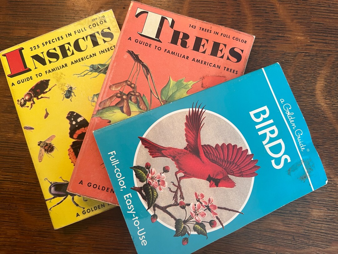 Vintage Golden Nature Guides- Insects, Trees, and Birds - Etsy