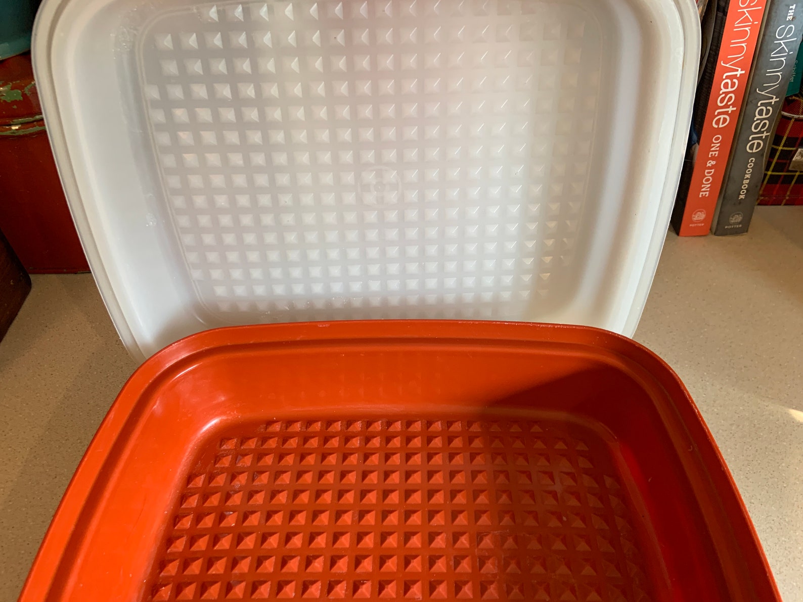 Vintage Tupperware Paprika Collection Large Marinator and Two - Etsy
