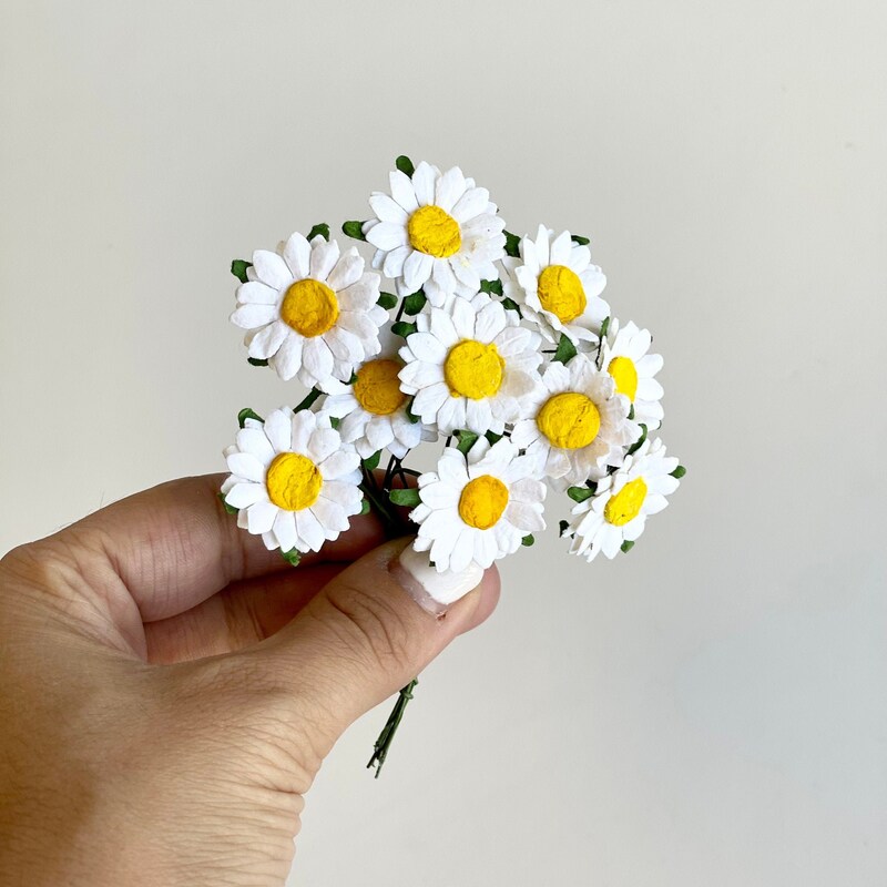 Paper Daisy - Etsy