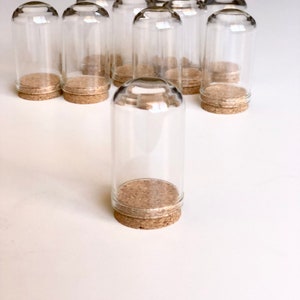 50 Pcs Mini Dome Glass Jar, 42.5x25mm, Dome Jar, Cloche Dome, Cork ...